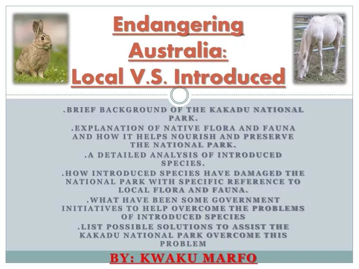PPT - Endangering Australia: Local V.S. Introduced PowerPoint ...