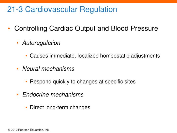 PPT - 21 Blood Vessels and Circulation PowerPoint Presentation - ID:2733917