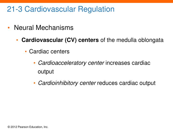 PPT - 21 Blood Vessels and Circulation PowerPoint Presentation - ID:2733917