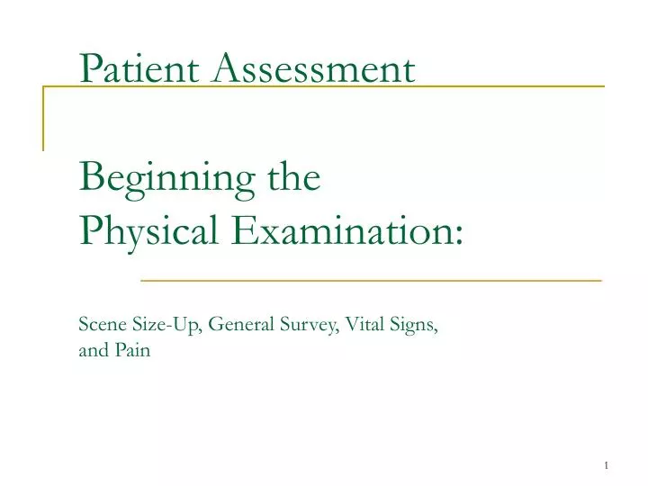 PPT - Scene Size-Up PowerPoint Presentation, free download - ID:2734216