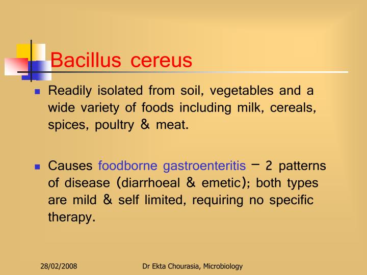 PPT - Bacillus PowerPoint Presentation - ID:2734229