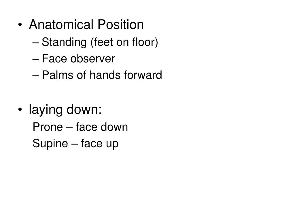 PPT - Anatomical Position Standing (feet on floor) Face observer Palms ...