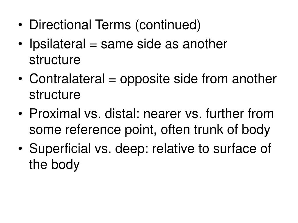 PPT - Anatomical Position Standing (feet on floor) Face observer Palms ...
