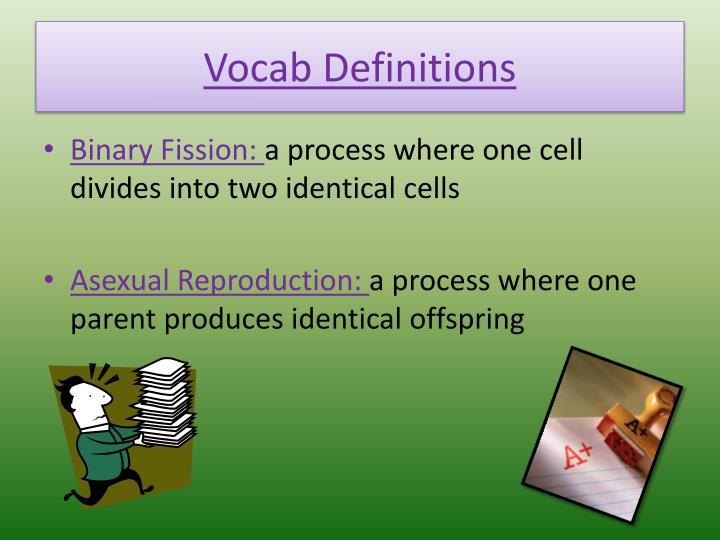 PPT - Bacterial Reproduction PowerPoint Presentation - ID:2734320
