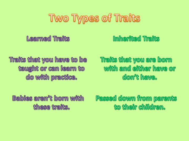 PPT - Traits PowerPoint Presentation - ID:2734837