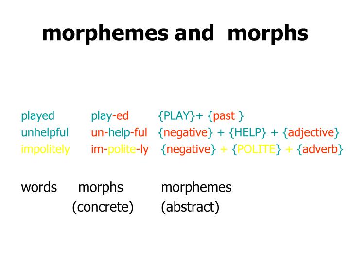 PPT - Morphology PowerPoint Presentation - ID:2735048