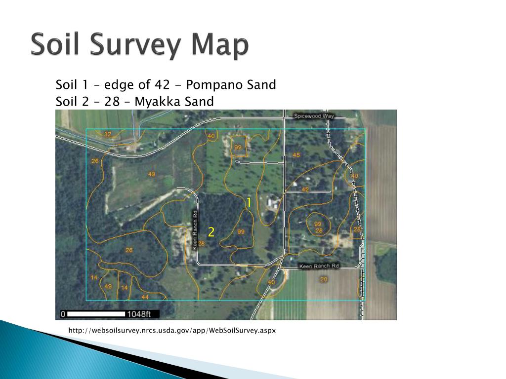PPT - Soil Descriptions and Interpretations of two Lake County Florida ...