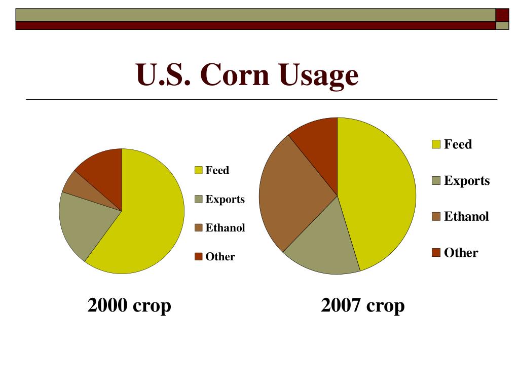 PPT - Ron Plain, Ph.D. D. Howard Doane Professor Dept of Agricultural ...