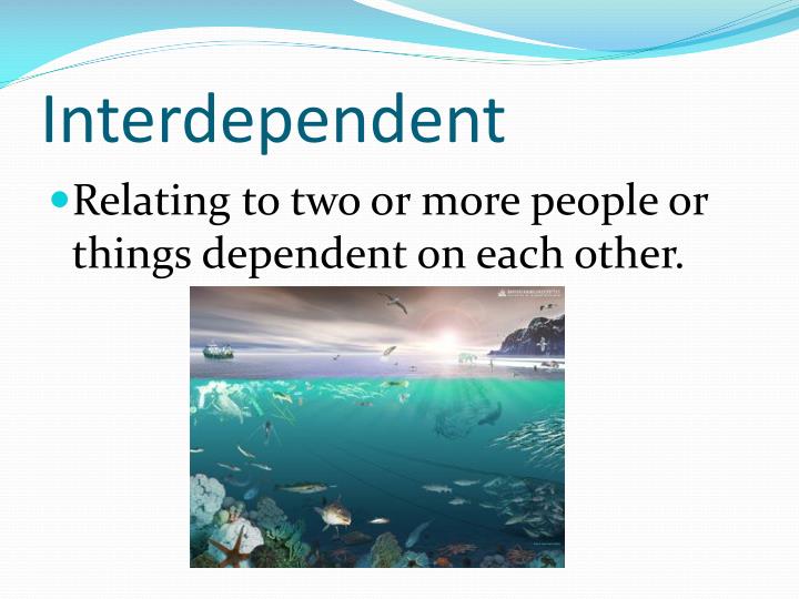 PPT - Interdependence Among Living Systems PowerPoint Presentation - ID ...