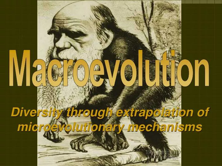 PPT - Diversity through extrapolation of microevolutionary mechanisms ...