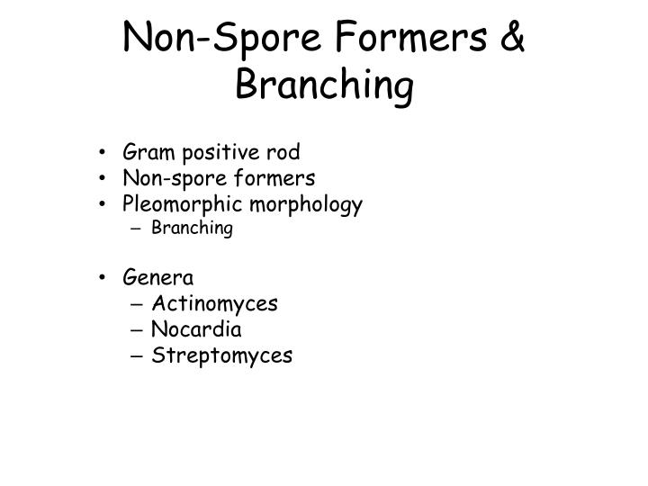 Gram Positive Pleomorphic Rods