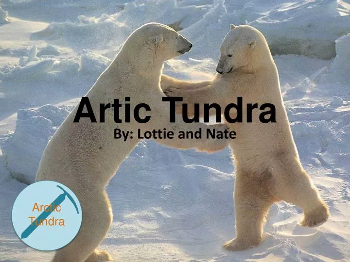 PPT - Artic Tundra PowerPoint Presentation, free download - ID:2738992