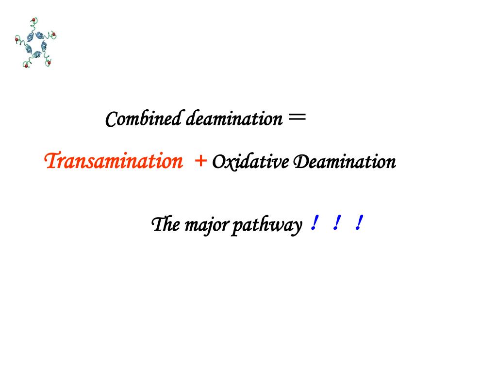 PPT - Amino Acid Metabolism PowerPoint Presentation, free download - ID ...