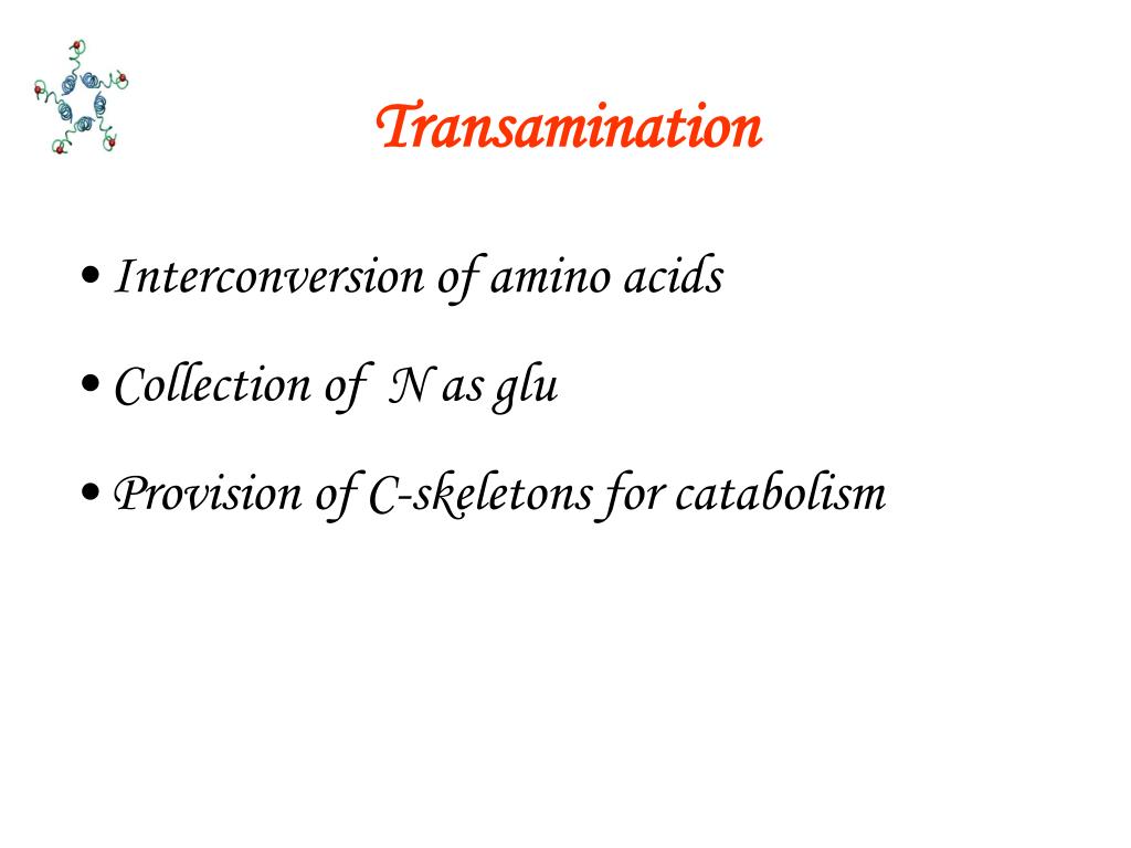 PPT - Amino Acid Metabolism PowerPoint Presentation, free download - ID ...