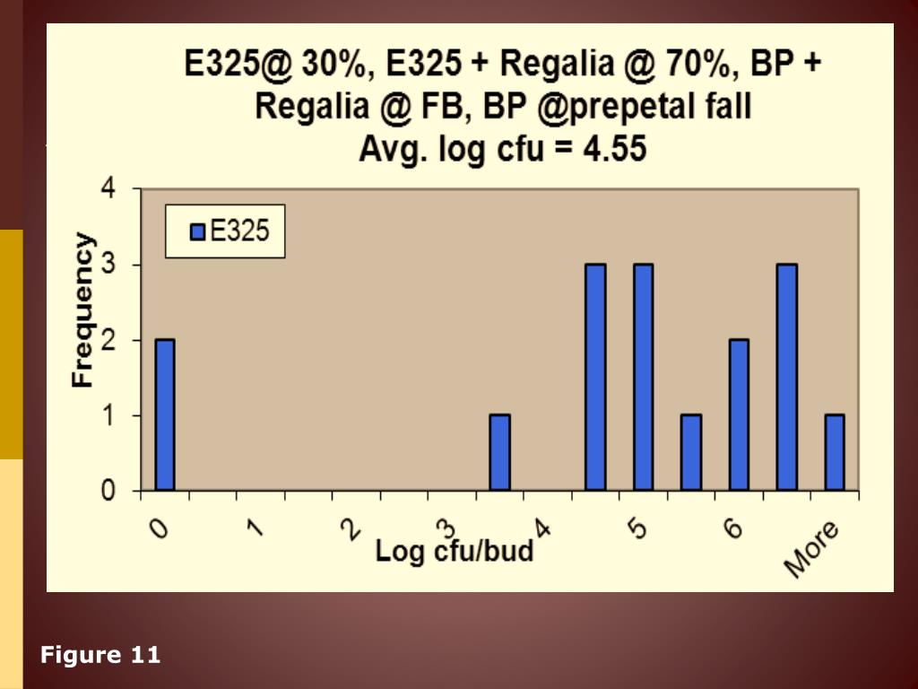 PPT - Rachel Elkins, Ken Johnson, Todd Temple and Steve Lindow ...