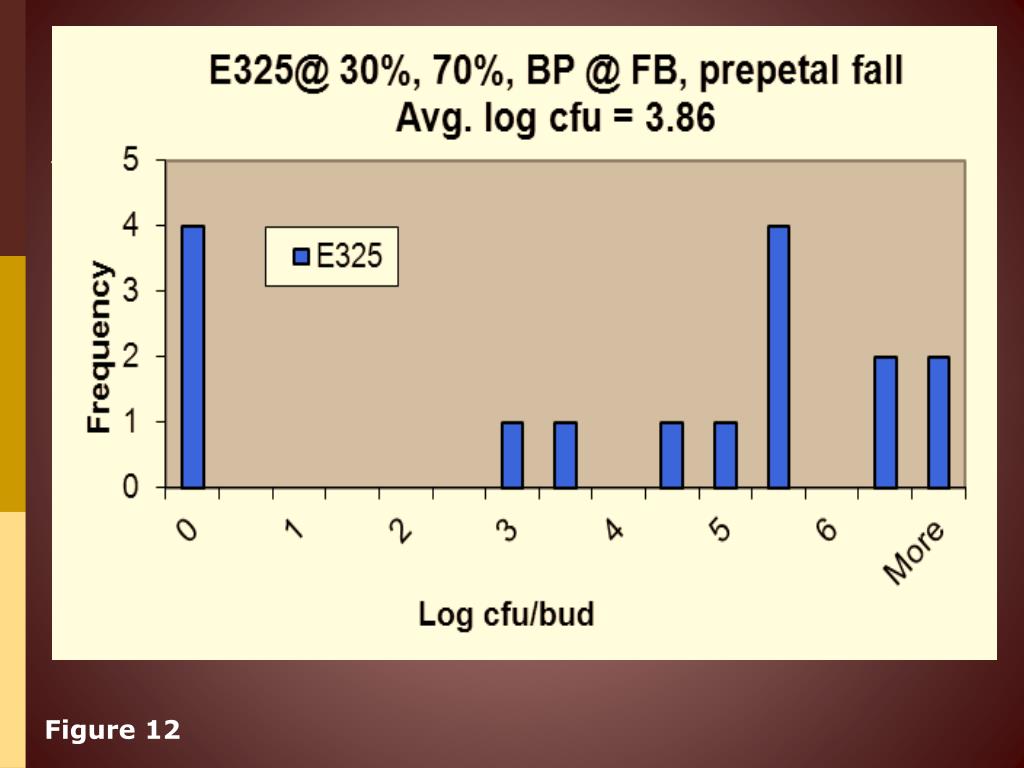 PPT - Rachel Elkins, Ken Johnson, Todd Temple and Steve Lindow ...