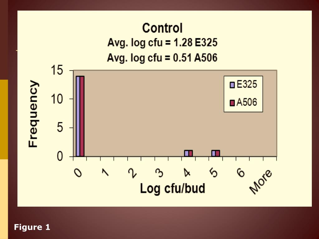 PPT - Rachel Elkins, Ken Johnson, Todd Temple and Steve Lindow ...