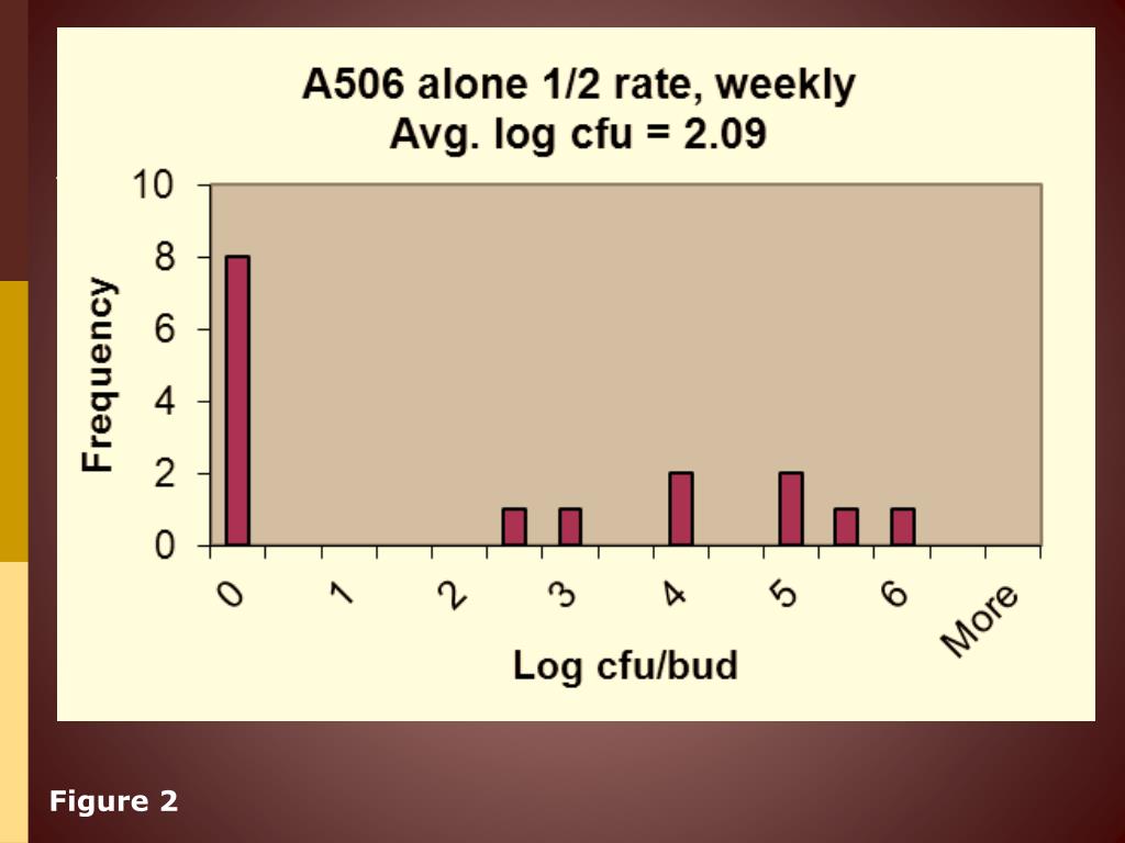 PPT - Rachel Elkins, Ken Johnson, Todd Temple and Steve Lindow ...