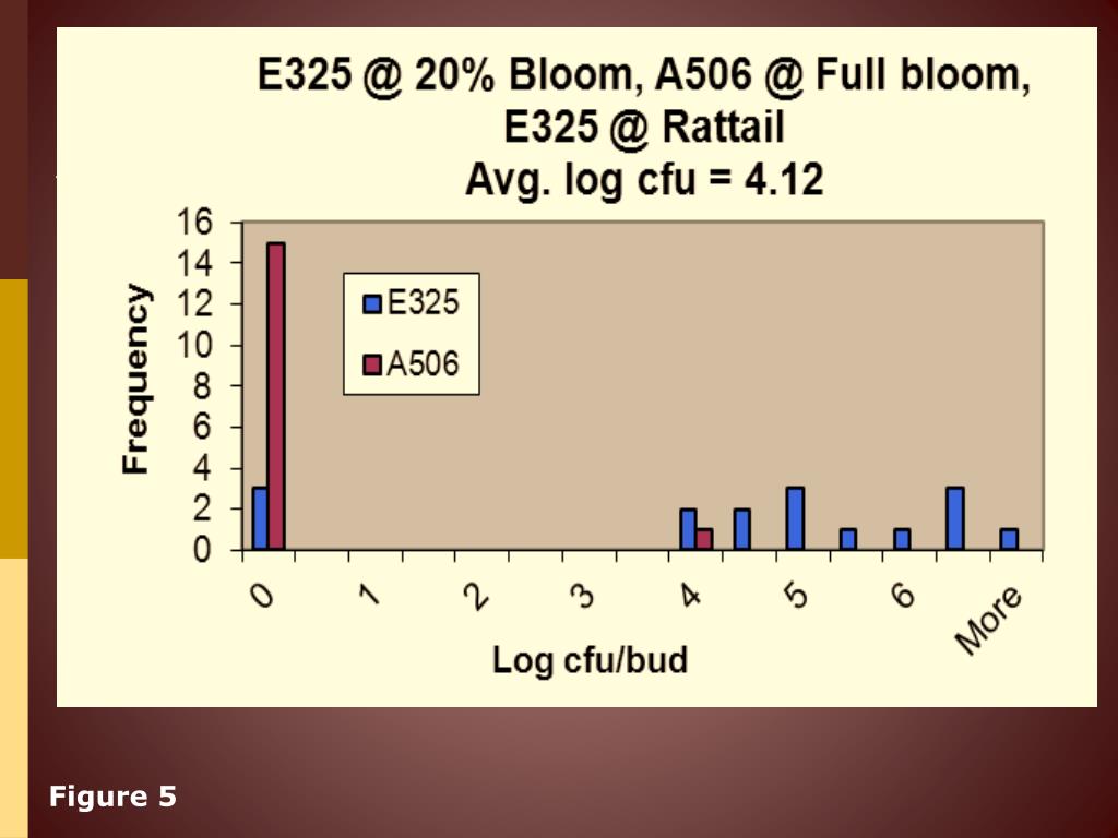 PPT - Rachel Elkins, Ken Johnson, Todd Temple and Steve Lindow ...