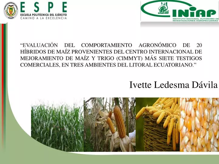 PPT - Ivette Ledesma Dávila PowerPoint Presentation, free download - ID ...