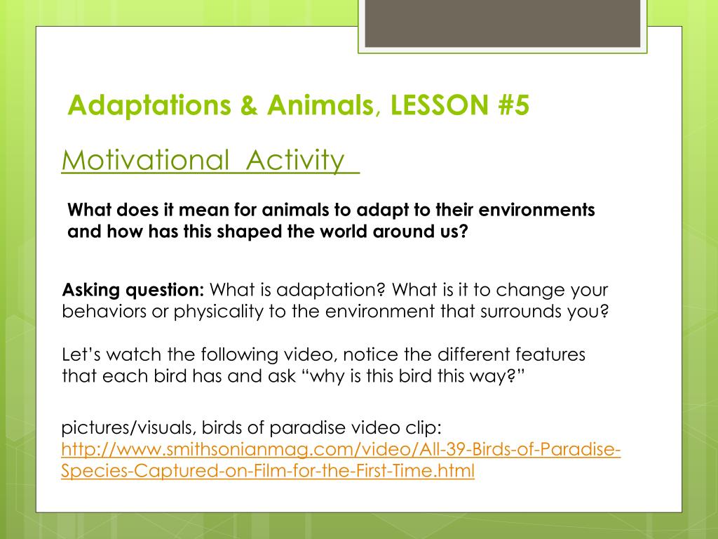 PPT - Plants and Animals; A Living and Breathing World PowerPoint ...