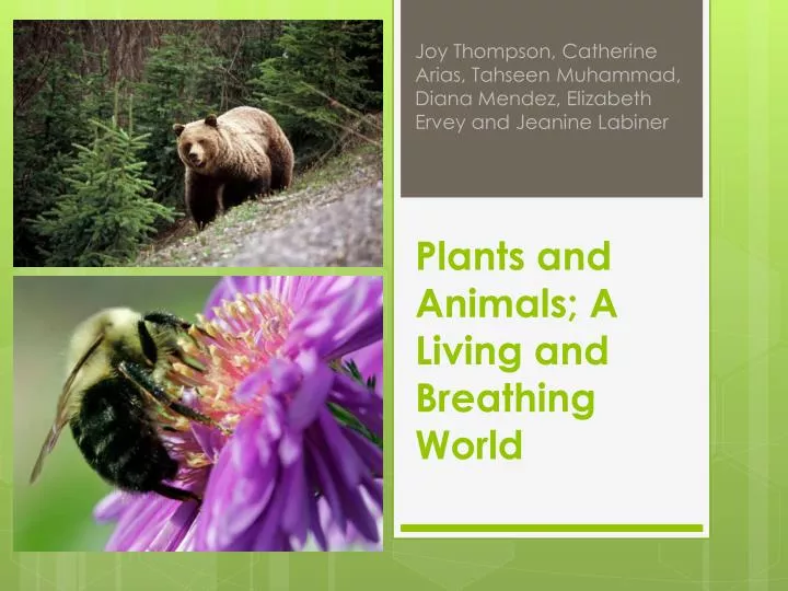PPT - Plants and Animals; A Living and Breathing World PowerPoint ... PPT - Plants and Animals; A Living and Breathing World PowerPoint ...