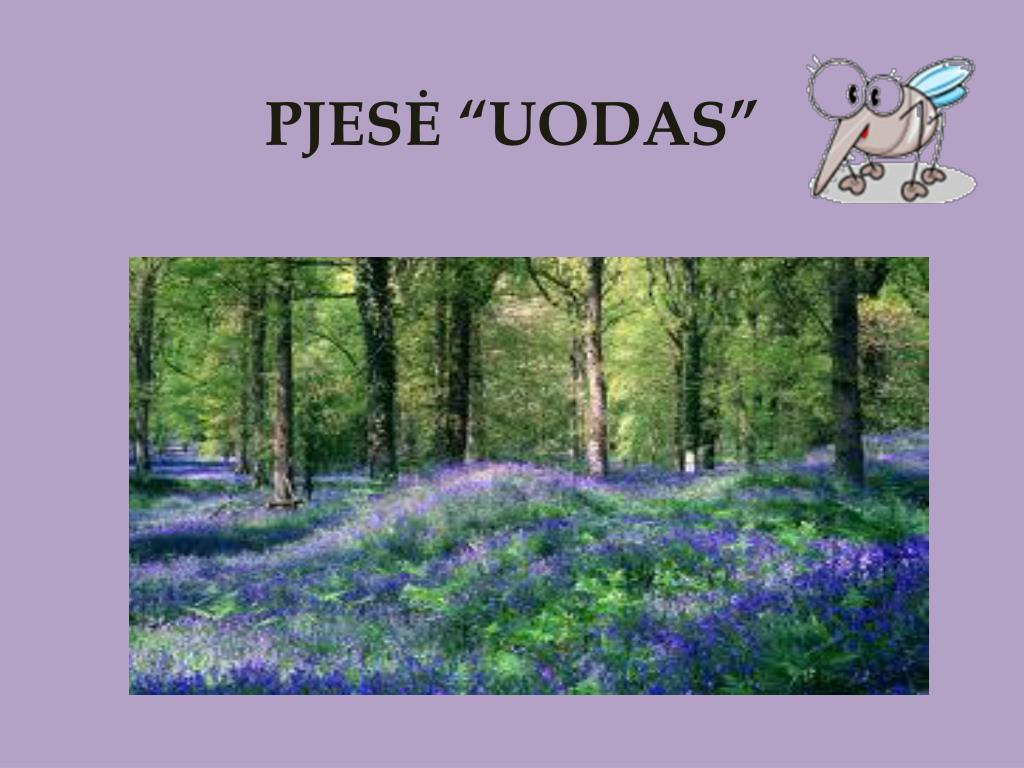 PPT - Dalykas, ugdymo sritis: Tema: Klasė: Priemonės paskirtis ...