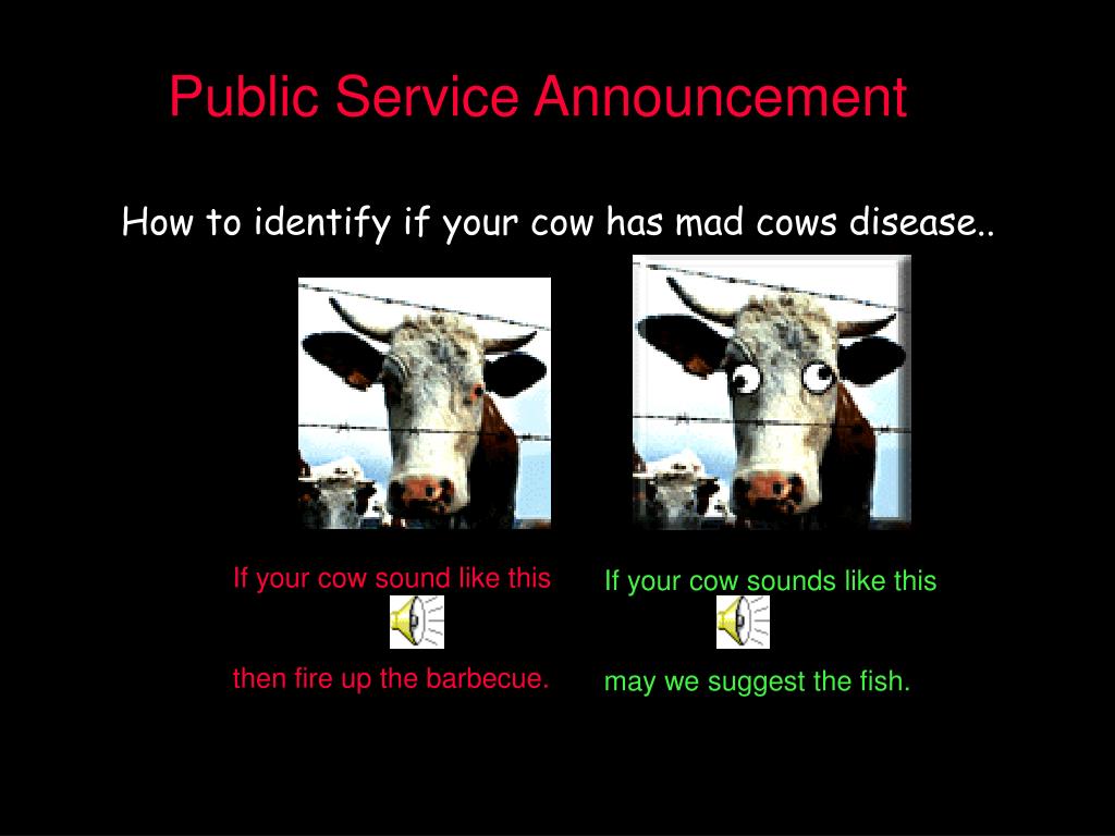 PPT - If your cow sounds like this may we suggest the fish. PowerPoint ...