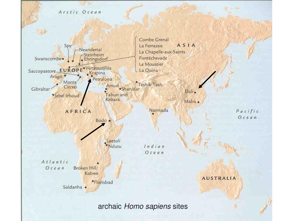 PPT - Homo erectus in Asia PowerPoint Presentation, free download - ID ...