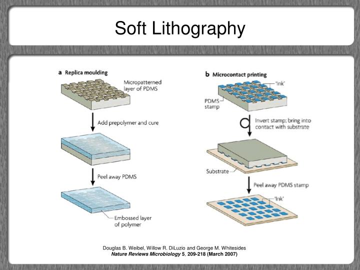 PPT - Advanced Lithography PowerPoint Presentation - ID:2742323