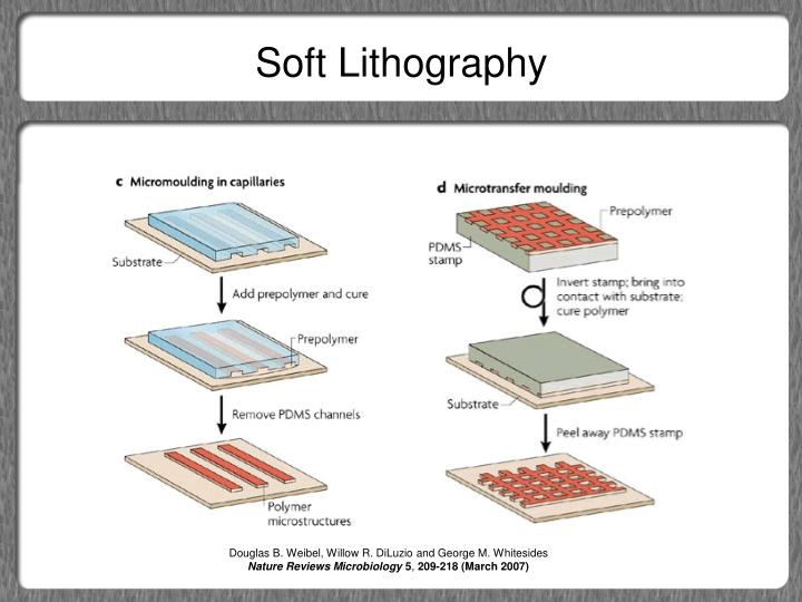 PPT - Advanced Lithography PowerPoint Presentation - ID:2742323