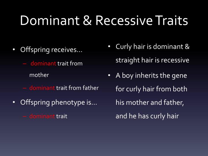 PPT - Inherited Traits PowerPoint Presentation - ID:2742460