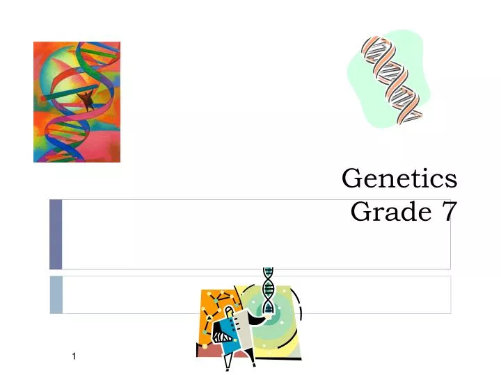 PPT - Genetics Grade 7 PowerPoint Presentation, free download - ID:2742980