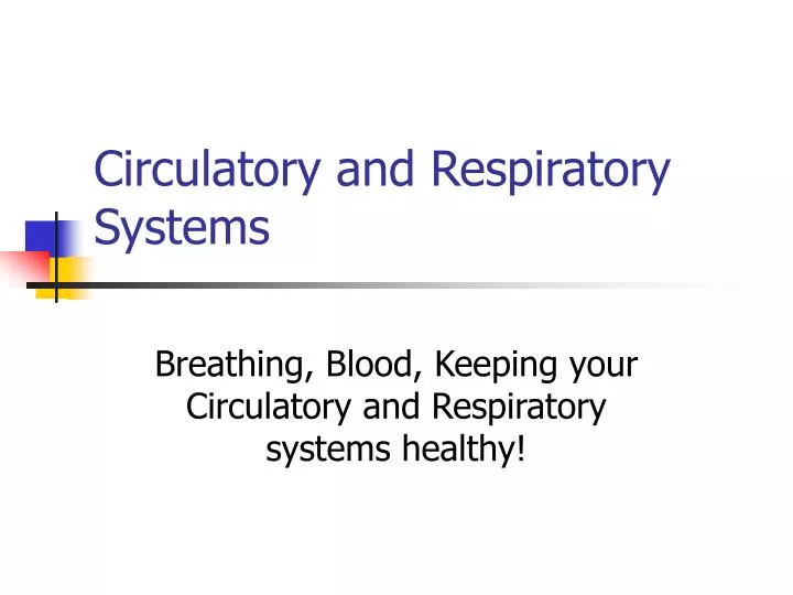 PPT - Circulatory and Respiratory Systems PowerPoint Presentation, free ...