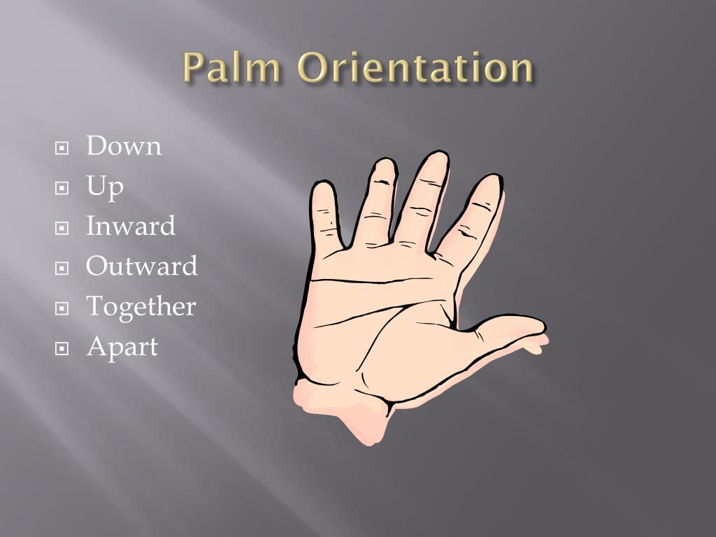 PPT - Goose Creek CISD Special Education 2012 - 2013 PowerPoint ...