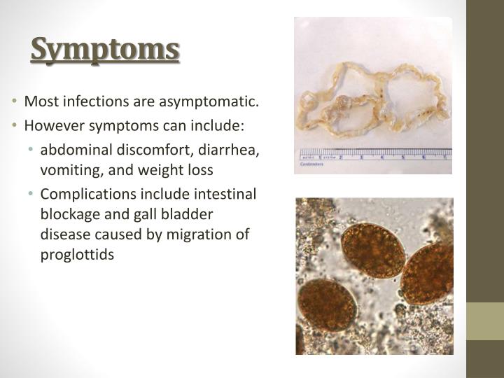 PPT - Parasites: Fish Tapeworm Pork Tapeworm PowerPoint Presentation ...