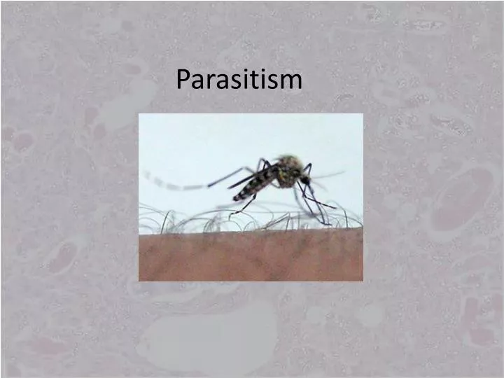 PPT - Parasitism PowerPoint Presentation, free download - ID:2743620