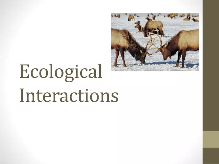 PPT - Ecological Interactions PowerPoint Presentation, free download - ID:2745148