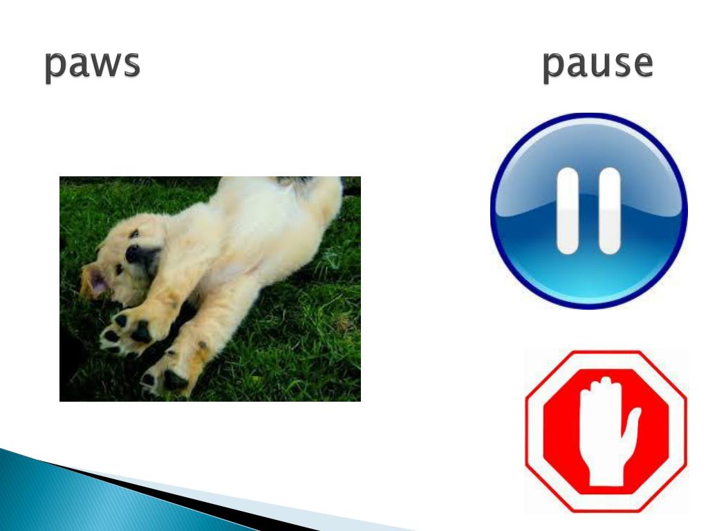 PPT - Homophones PowerPoint Presentation, free download - ID:2745790