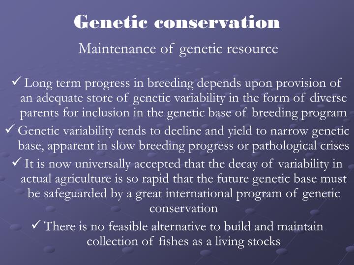 PPT - FISH GENETICS AND BREEDING PowerPoint Presentation - ID:2745839