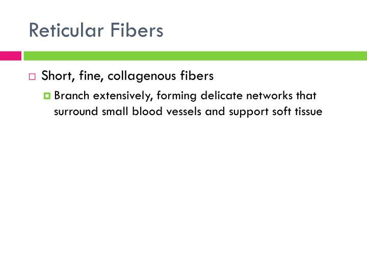PPT - Tissue PowerPoint Presentation - ID:2745944