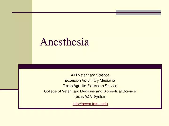 PPT - Anesthesia PowerPoint Presentation, free download - ID:2746053