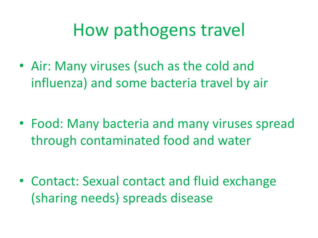 PPT - Aim: How does a virus infect your body. How does a bacteria ...