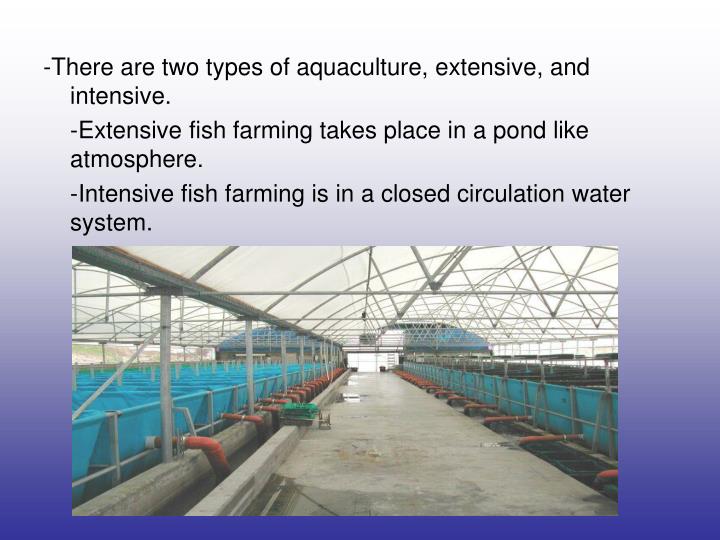 PPT - Fish Farming PowerPoint Presentation - ID:2746478