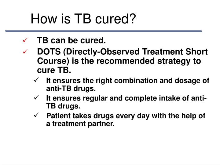 PPT - TB 101 “Basic Facts on Tuberculosis” PowerPoint Presentation - ID ...