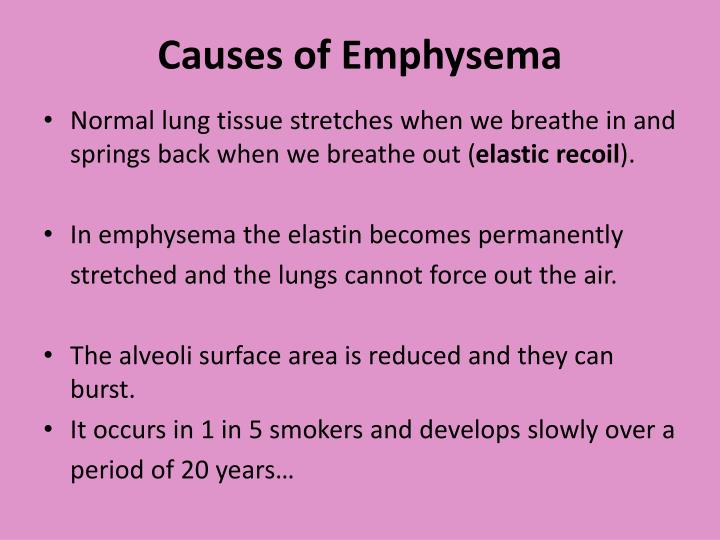 PPT - Emphysema PowerPoint Presentation - ID:2746705