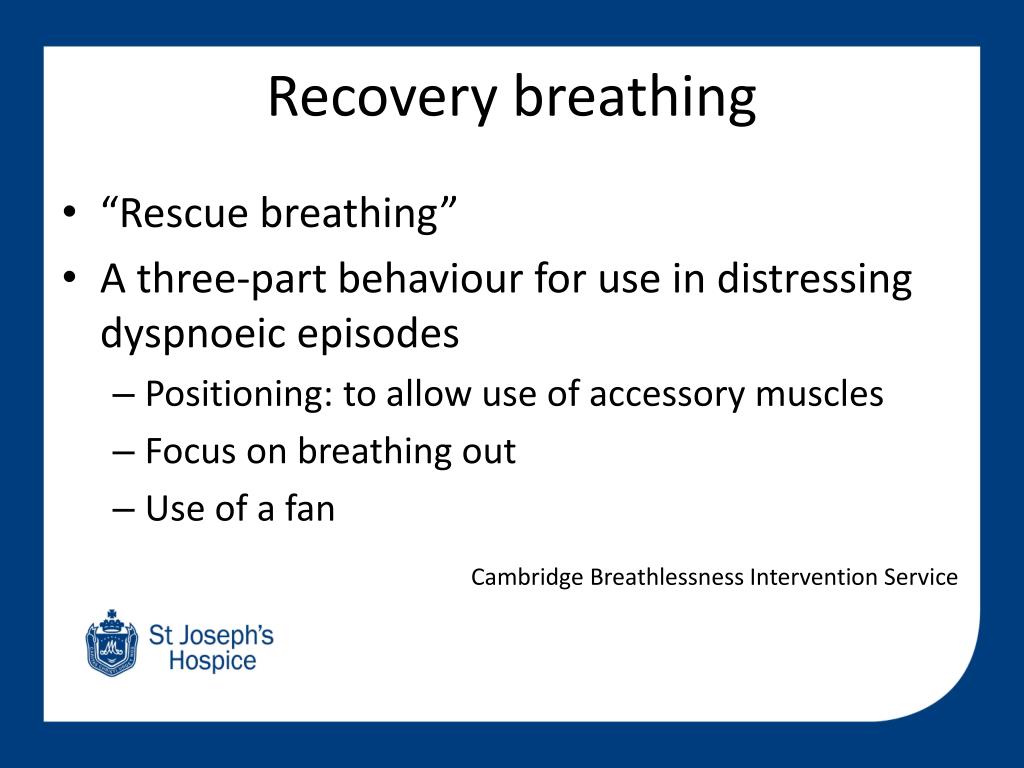 PPT - Dr Jonathan Martin Consultant in Palliative Medicine, St Joseph's ...