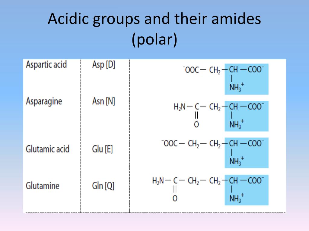 PPT - Amino acid and Protein Chemistry PowerPoint Presentation, free ...