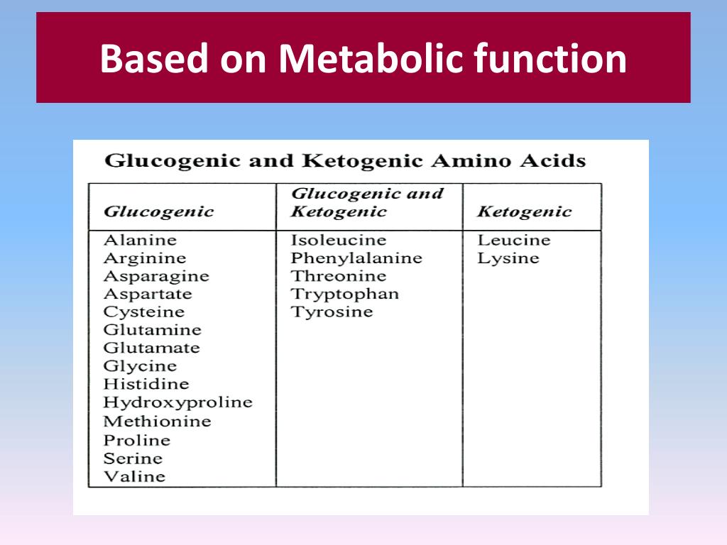 PPT - Amino acid and Protein Chemistry PowerPoint Presentation, free ...