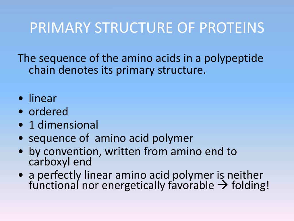 PPT - Amino acid and Protein Chemistry PowerPoint Presentation, free ...